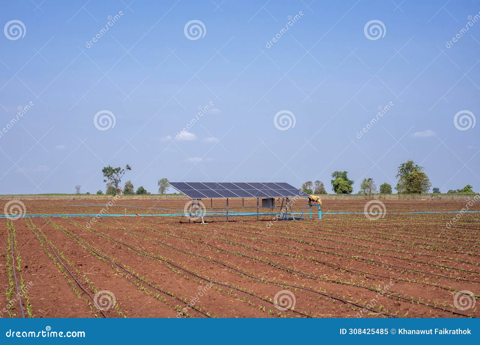 Solar Panels for Irrigation Systems in Farmer S Corn Fields in ...