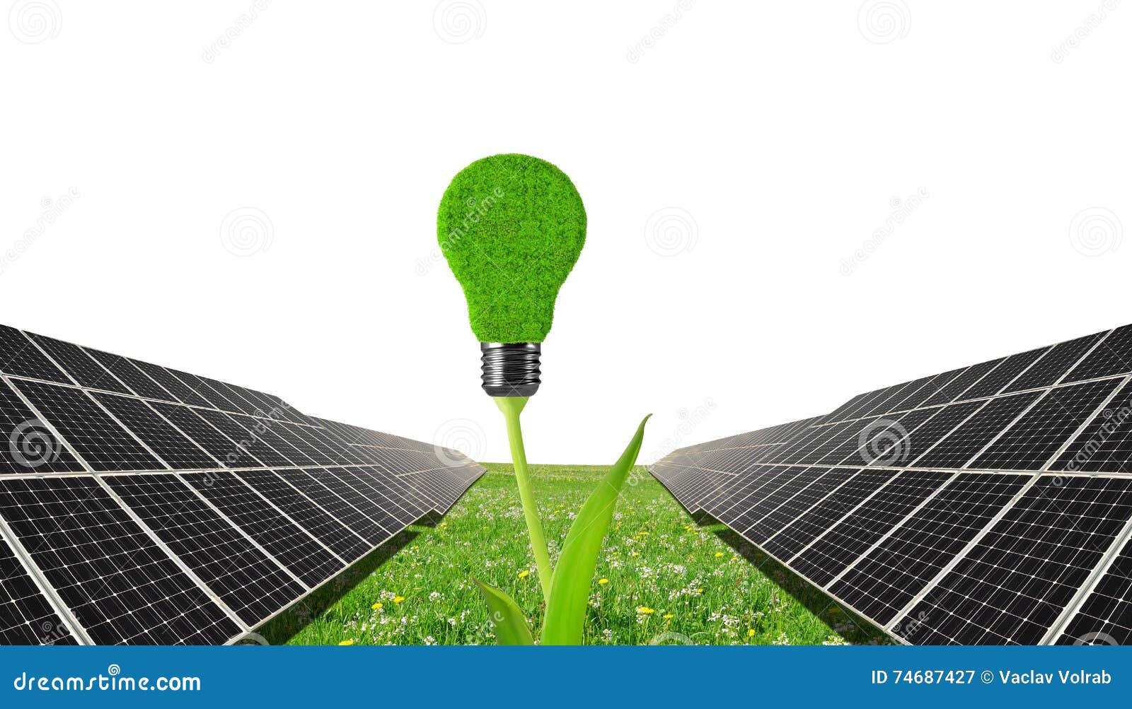 Solar Panels with Lightbulb on Plant . Stock Image - Image of ...