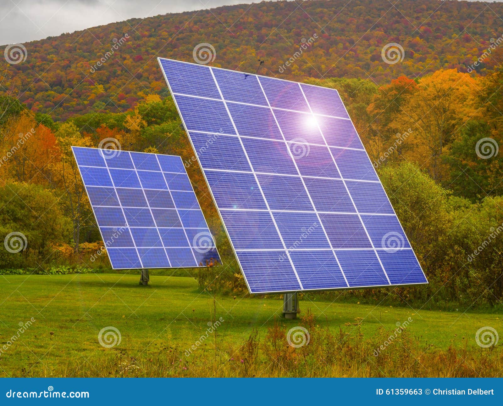 Solar panels in nature stock image. Image of collector - 61359663