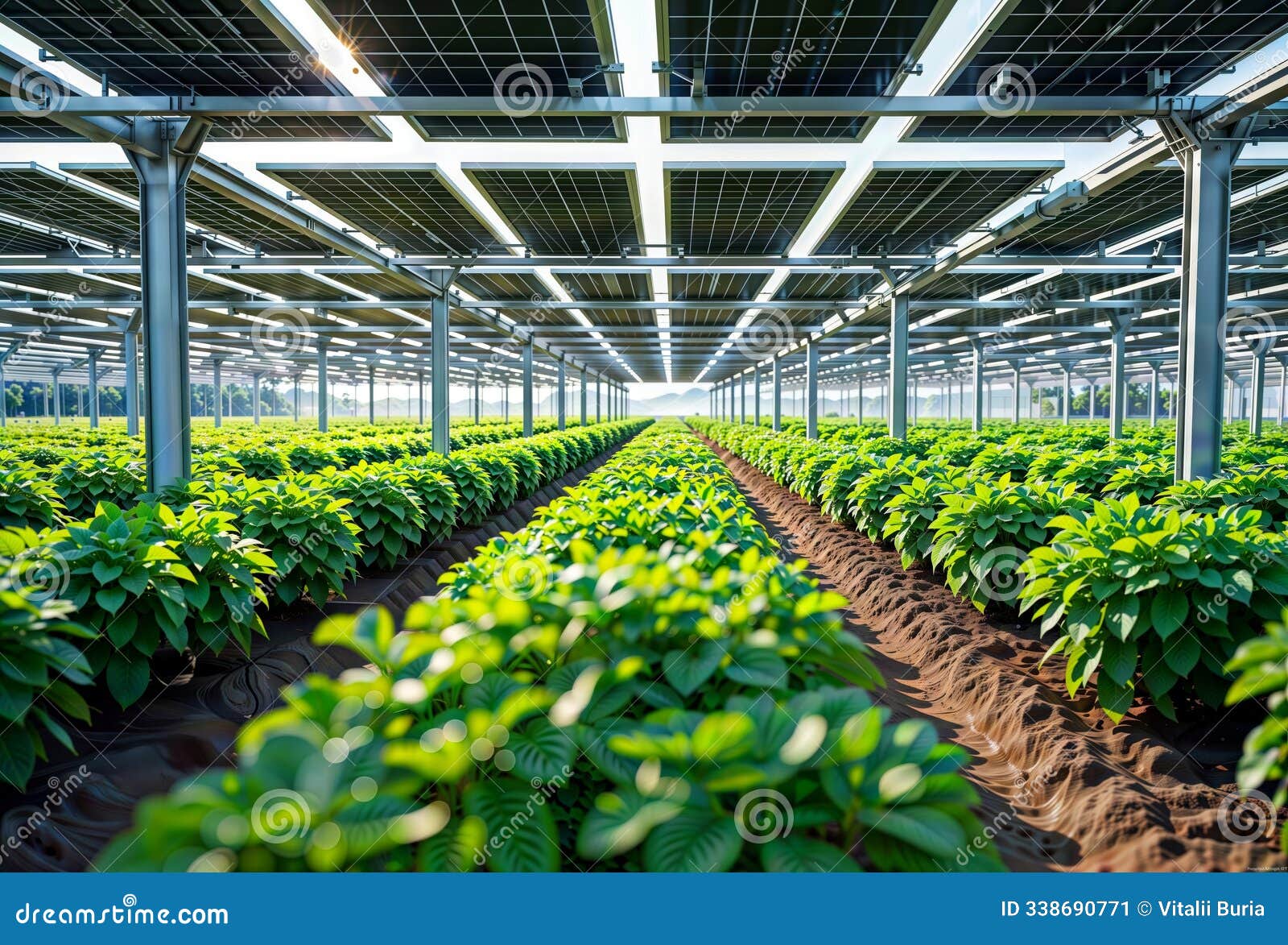 Growing Green: Agrivoltaics in Action, Generative Ai Stock Illustration ...