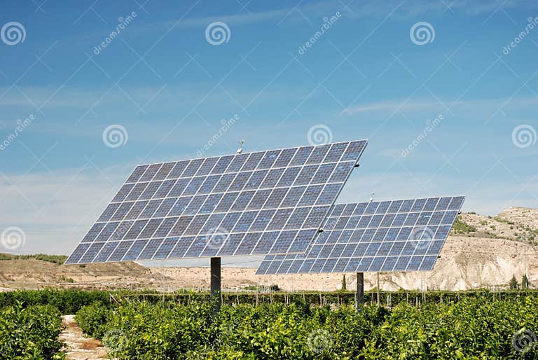 Solar Panels at a Plantation Stock Photo - Image of power, plant: 3527880