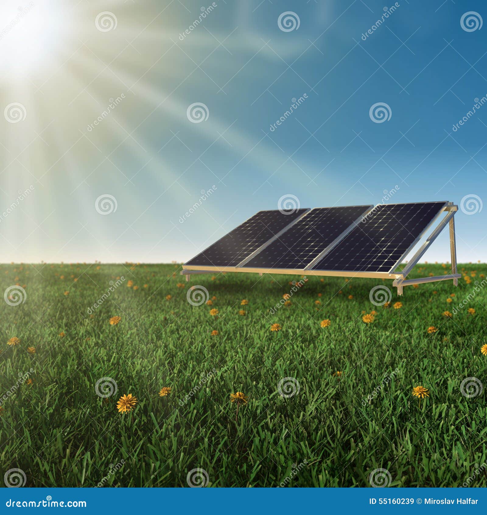 Solar Panels Renewable Energy Concept Stock Image - Image of grass ...