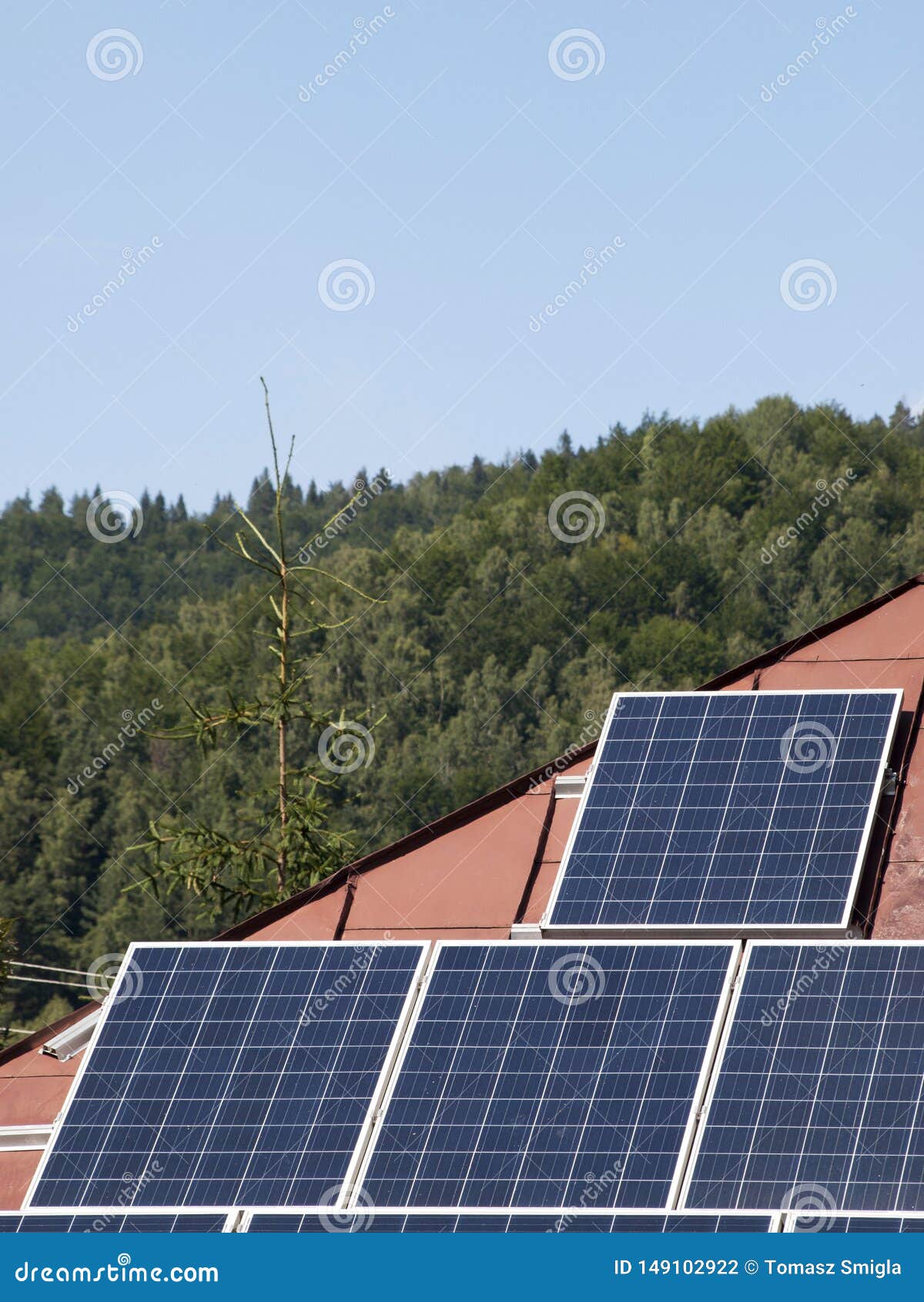 Solar Panels on the Roof, Forest in the Background Stock Photo - Image ...