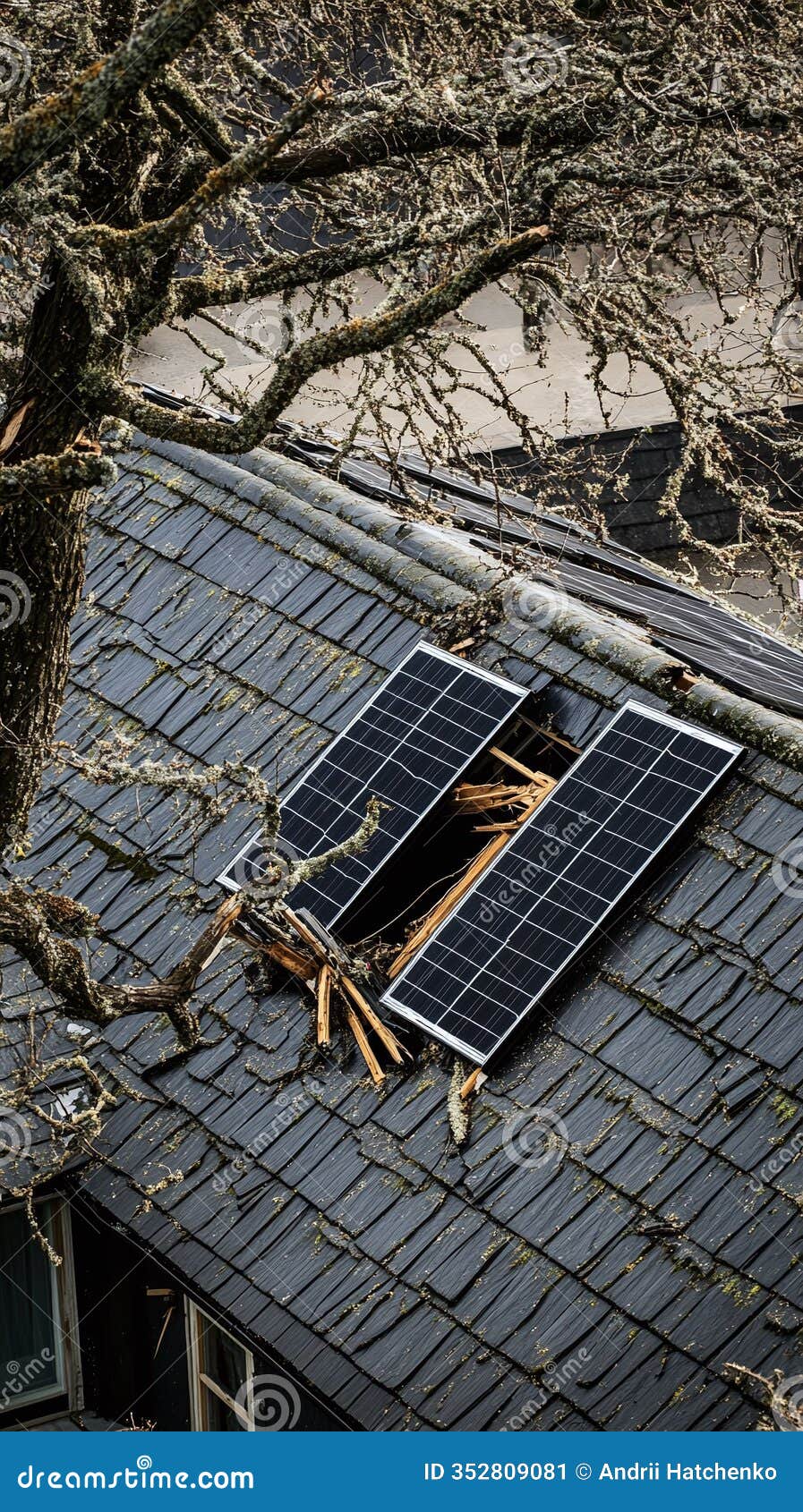 Solar Panels on a Rooftop Destroyed by Falling Tree Branches during a ...