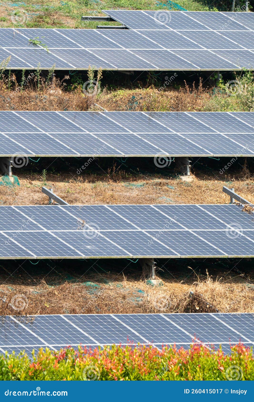 Solar Panels, Technology Solar Cell in Taiwan Stock Image - Image of ...