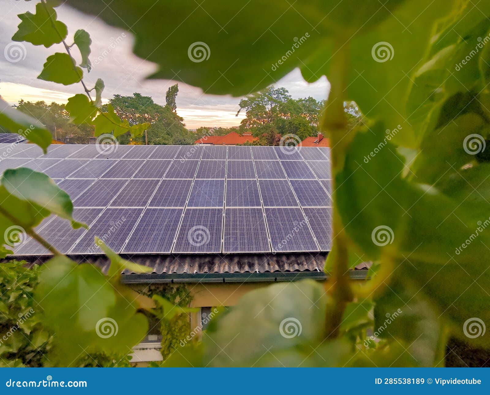 Solar Panels on a Sunny Day among Tree Leaves Stock Image - Image of ...