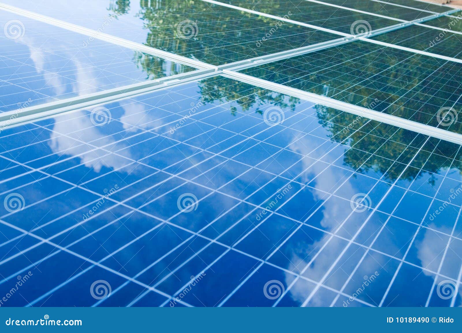 Solar Panels with Tree Reflection Stock Photo - Image of panel, pattern ...