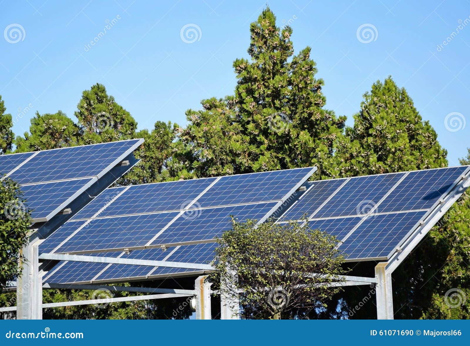 Solar panels and trees stock photo. Image of house, eaves - 61071690