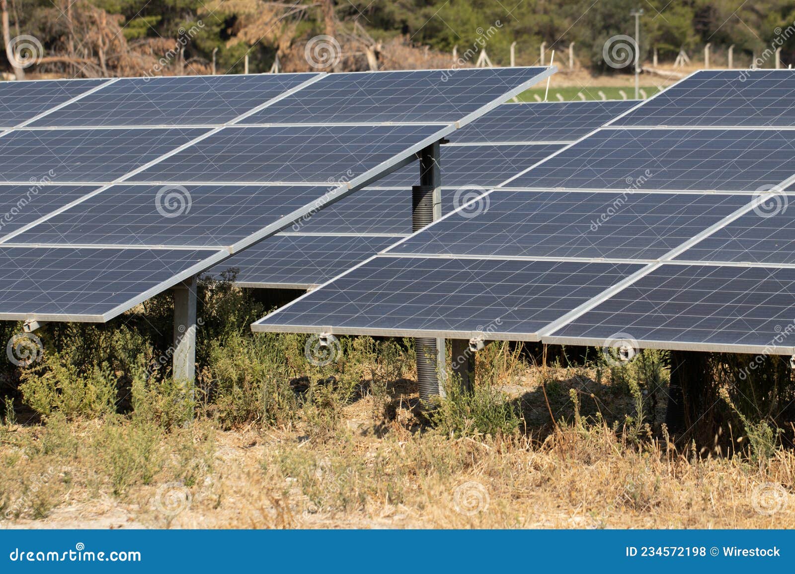 Solar Panels, Which Use Sunlight As a Source of Energy To Generate ...