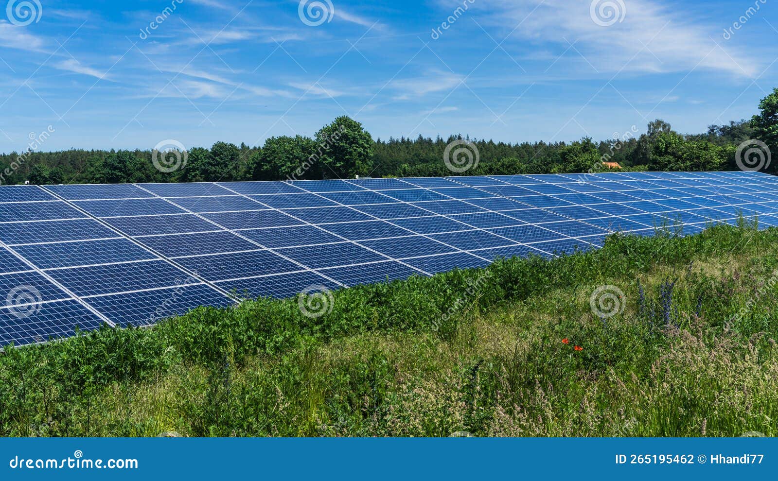 Solar Park with Lots of Solar Cells in a Row Stock Photo - Image of ...