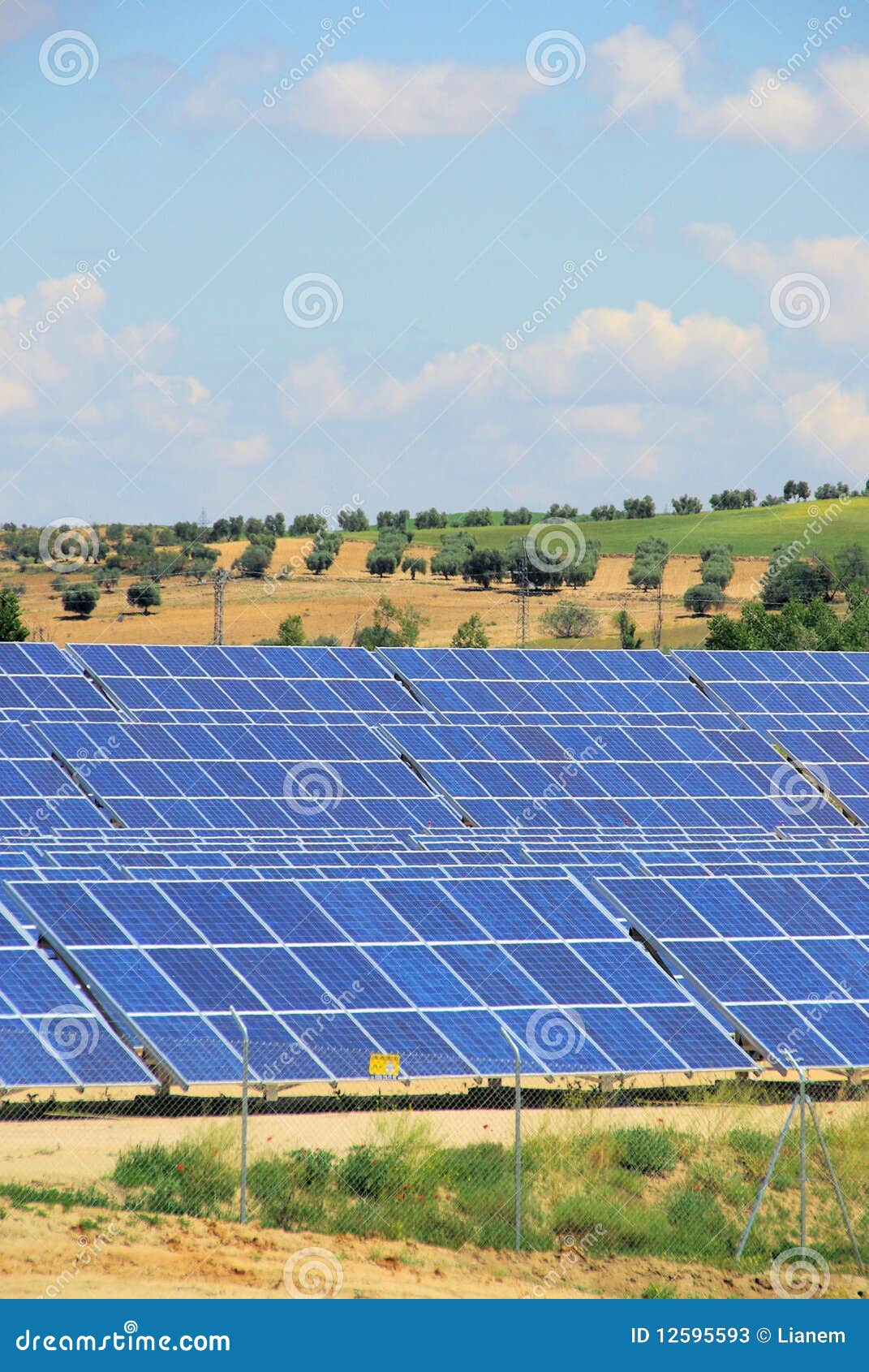 Cells Of A Plant Stem With A Disease Under A Microscope Royalty-Free ...