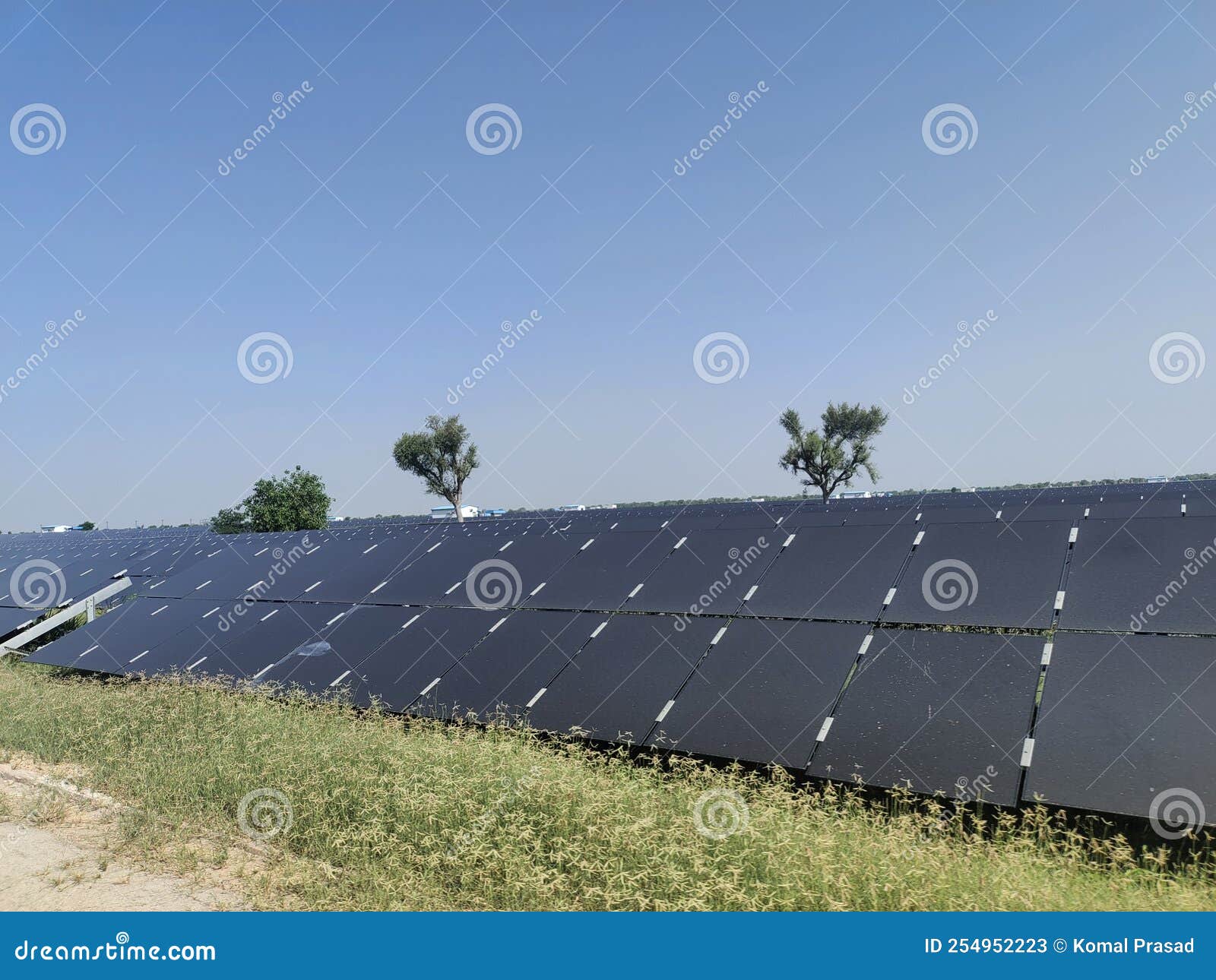 Solar Plant in Rajasthan India Stock Image - Image of grass, farm ...