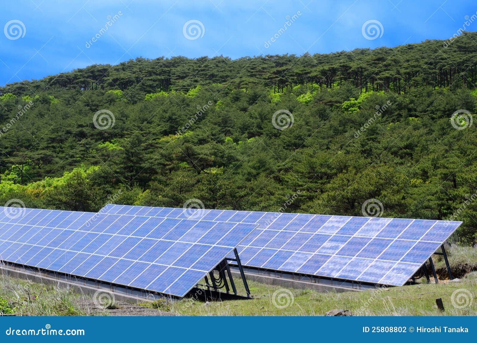 Solar power and forest stock photo. Image of blue, green - 25808802