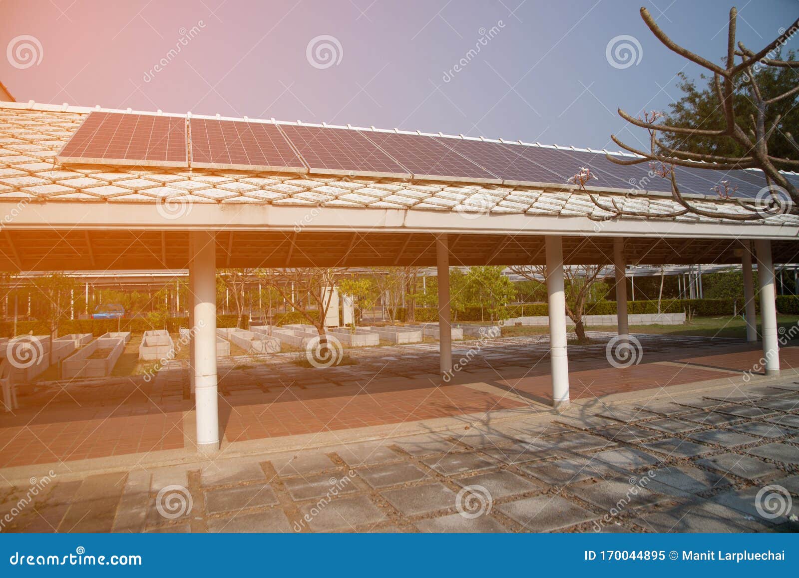 Solar Power Generation Panel Installed on the Roof of the Residence ...