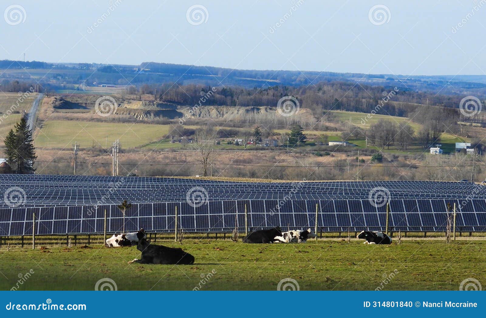 Solar Power Grid Field Shares a NYS Cow Pasture Stock Photo - Image of ...