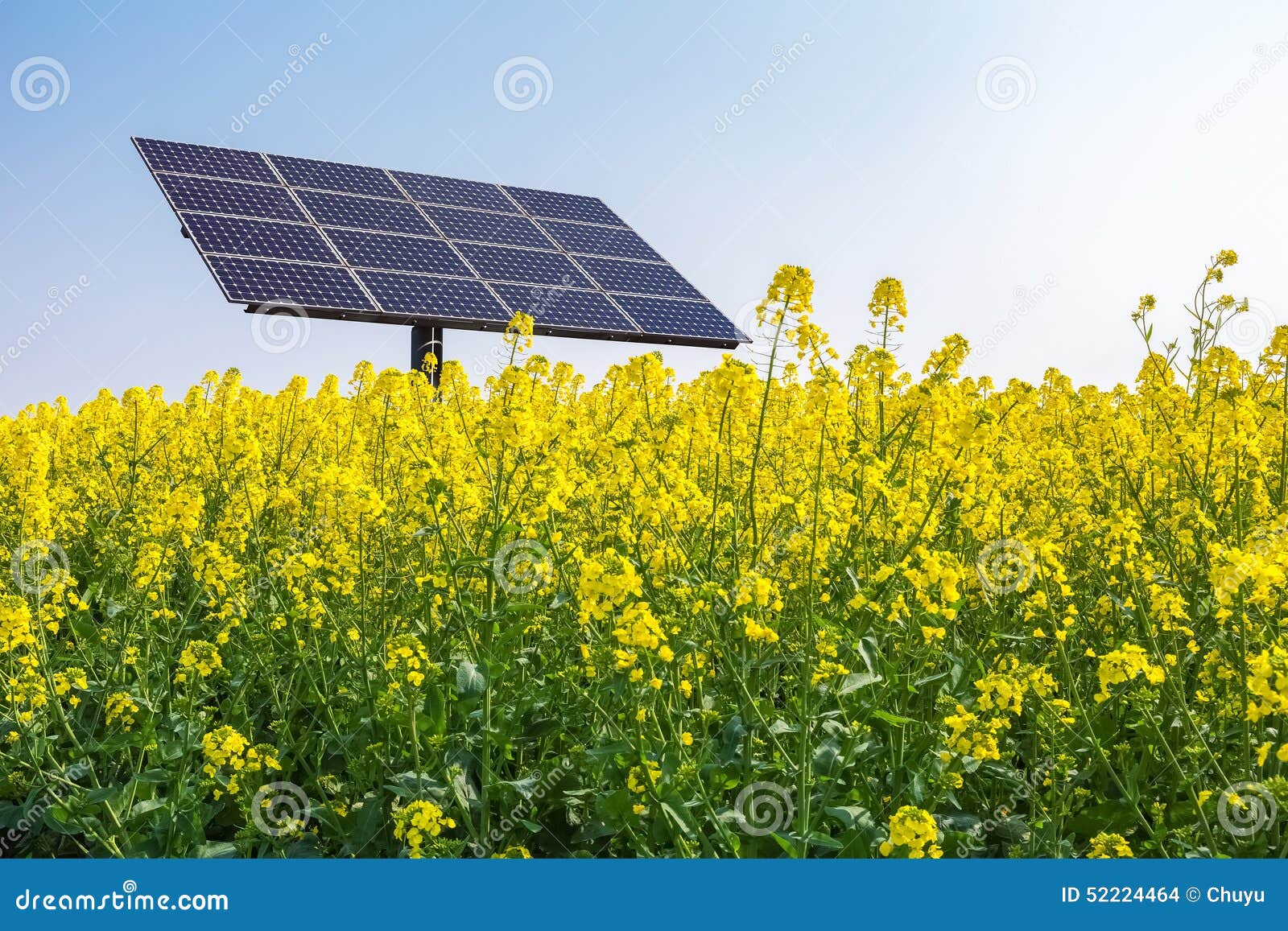 Solar power in spring stock photo. Image of rapeseed - 52224464