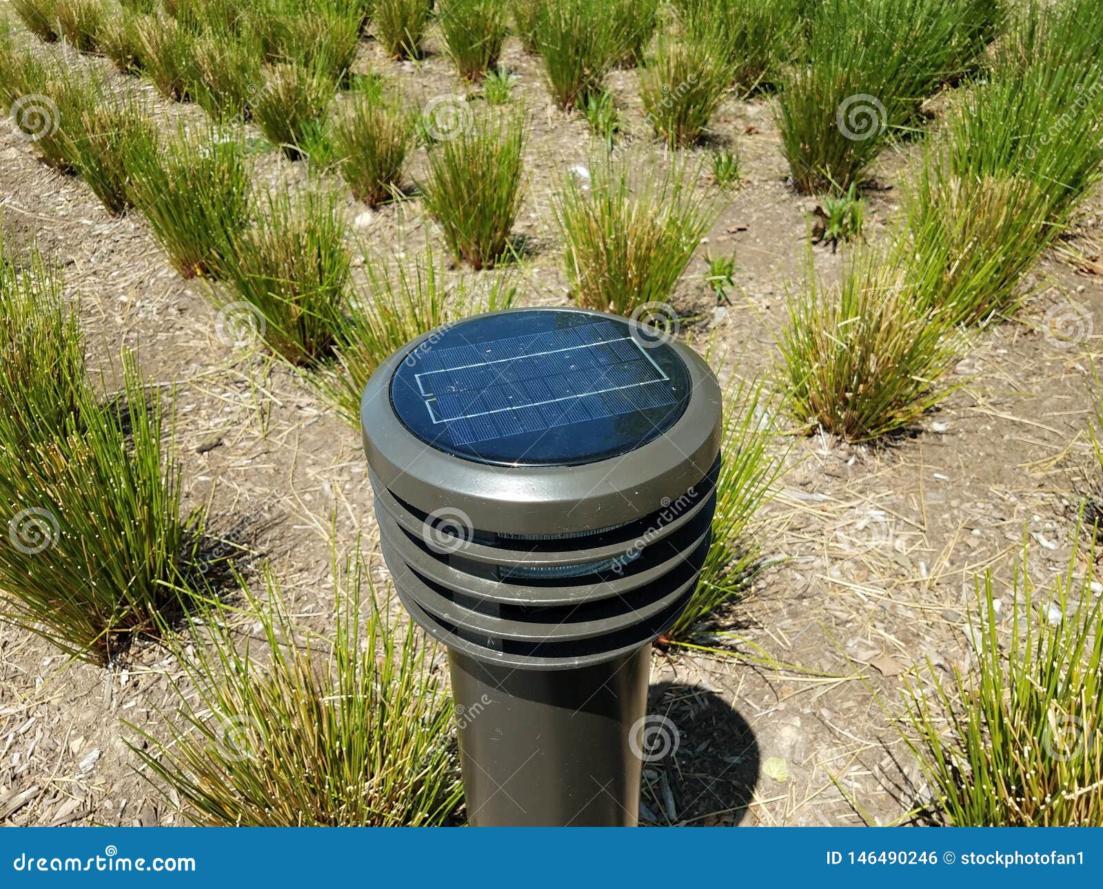 Solar Powered Light with Green Grasses in the Soil Stock Photo - Image ...