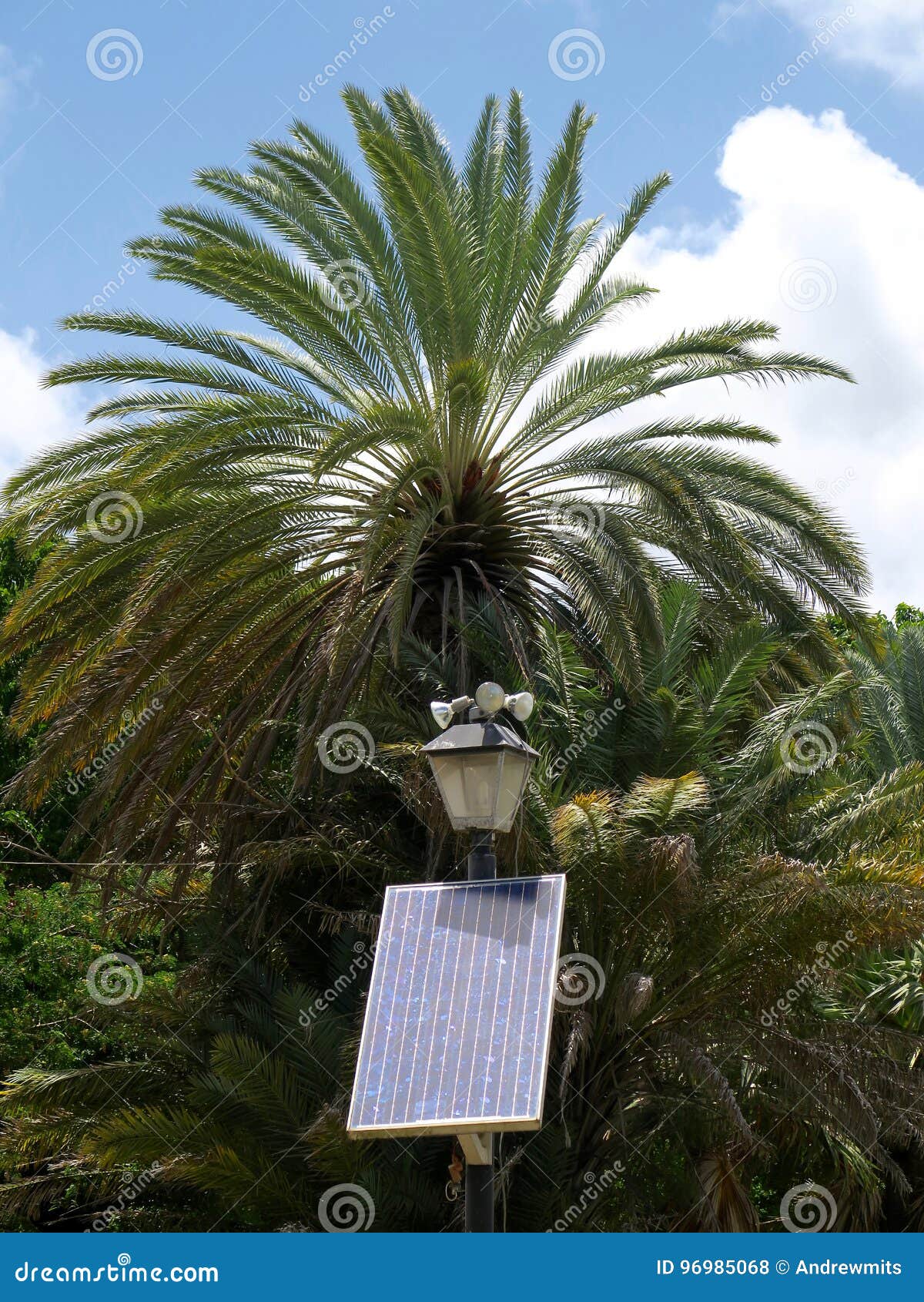 Solar Powered Street Light stock photo. Image of tree - 96985068