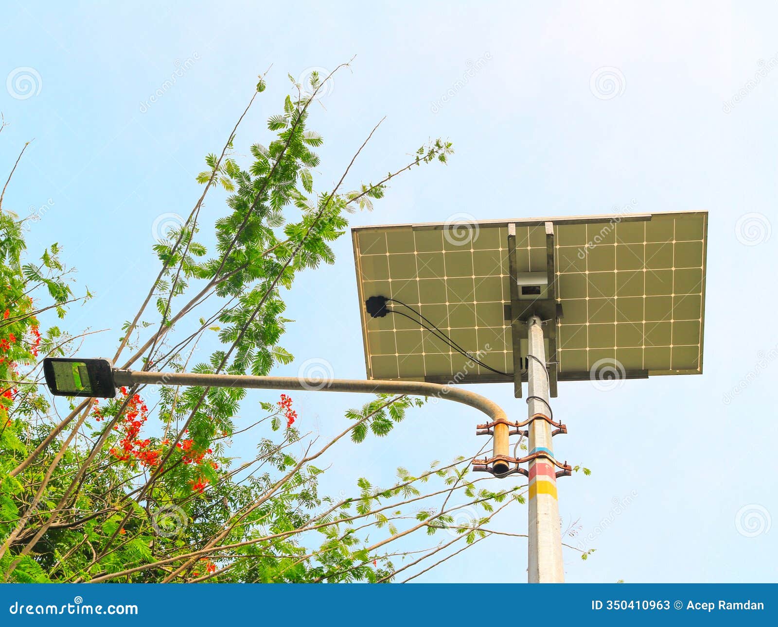 Solar-powered Street Light with Green Foliage and Clear Sky Stock Image ...