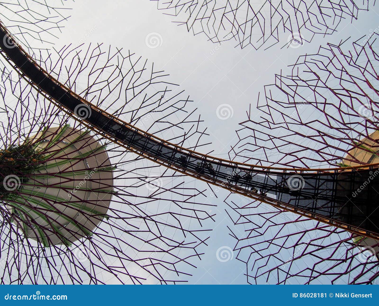 Solar Powered Supertrees Singapore Stock Image - Image of city ...