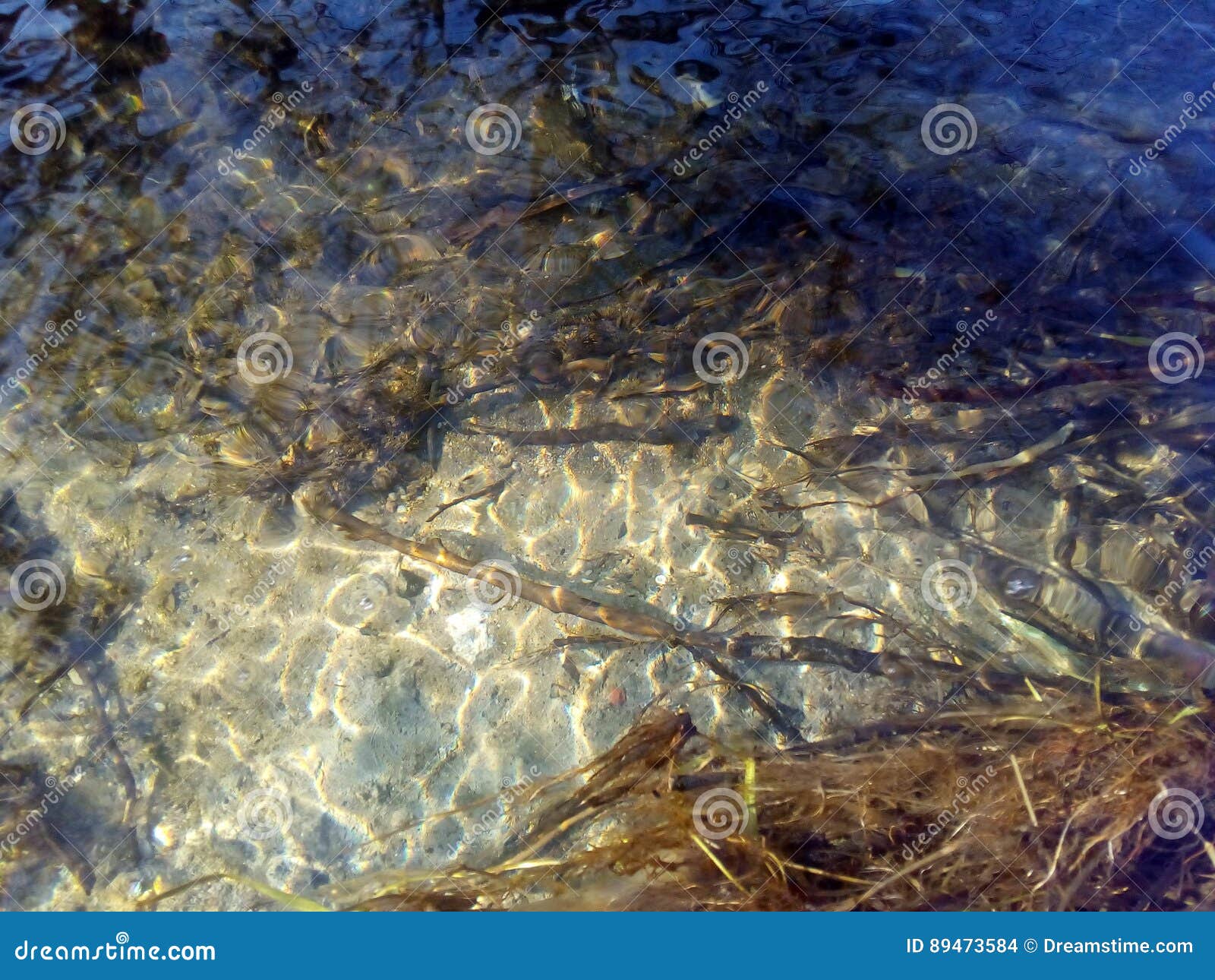 Solar reflections in water stock photo. Image of reflections - 89473584