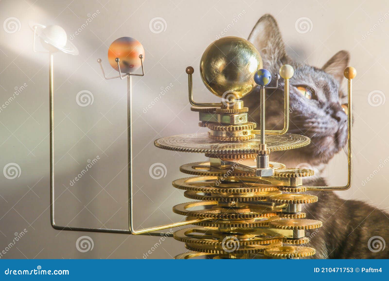 Solar System With Cats