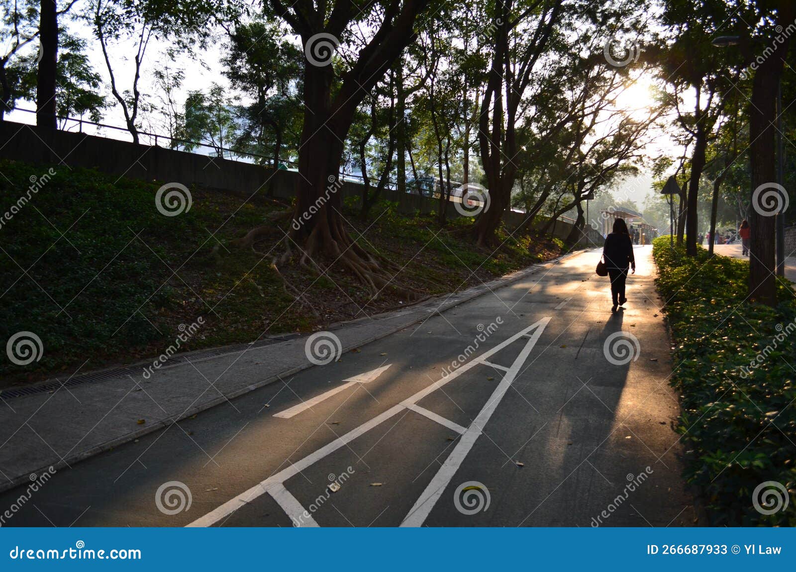 A Solar Walkway in the City, Path through the Forest Editorial Stock ...