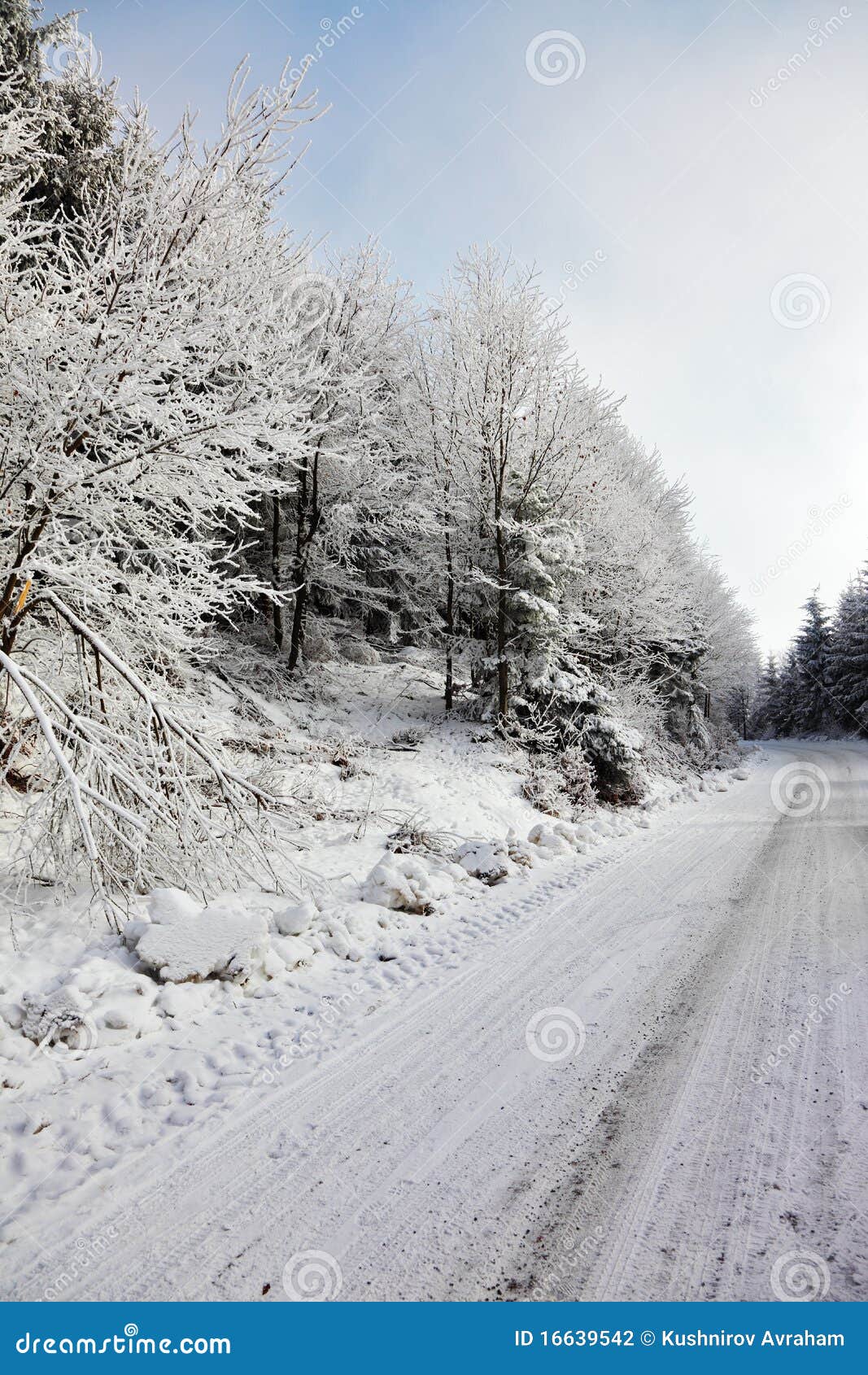 Solar winter morning stock photo. Image of outdoors, nordic - 16639542