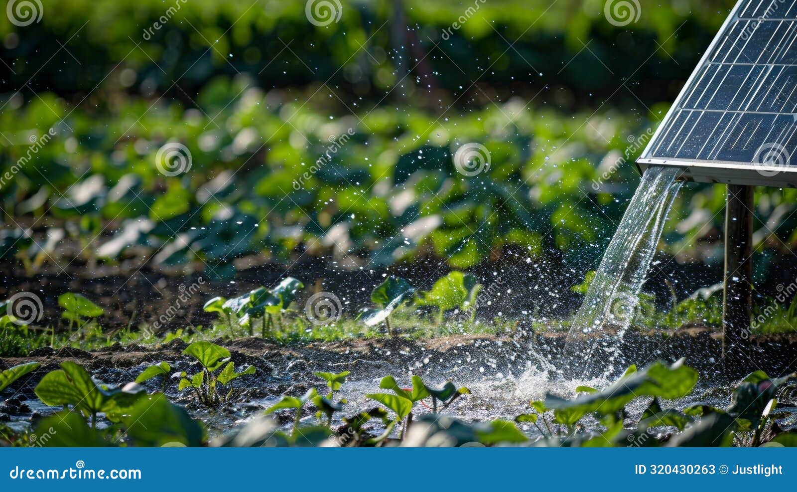 A Solarpowered Irrigation System Provides a Sustainable and Lowcost ...