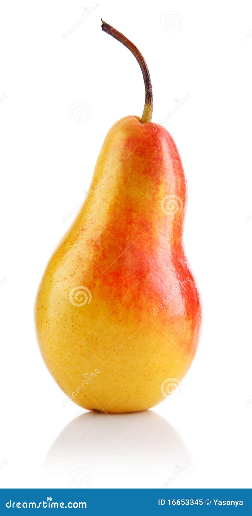 Solas Frutas Frescas De La Pera Aisladas Imagen de archivo - Imagen de ...