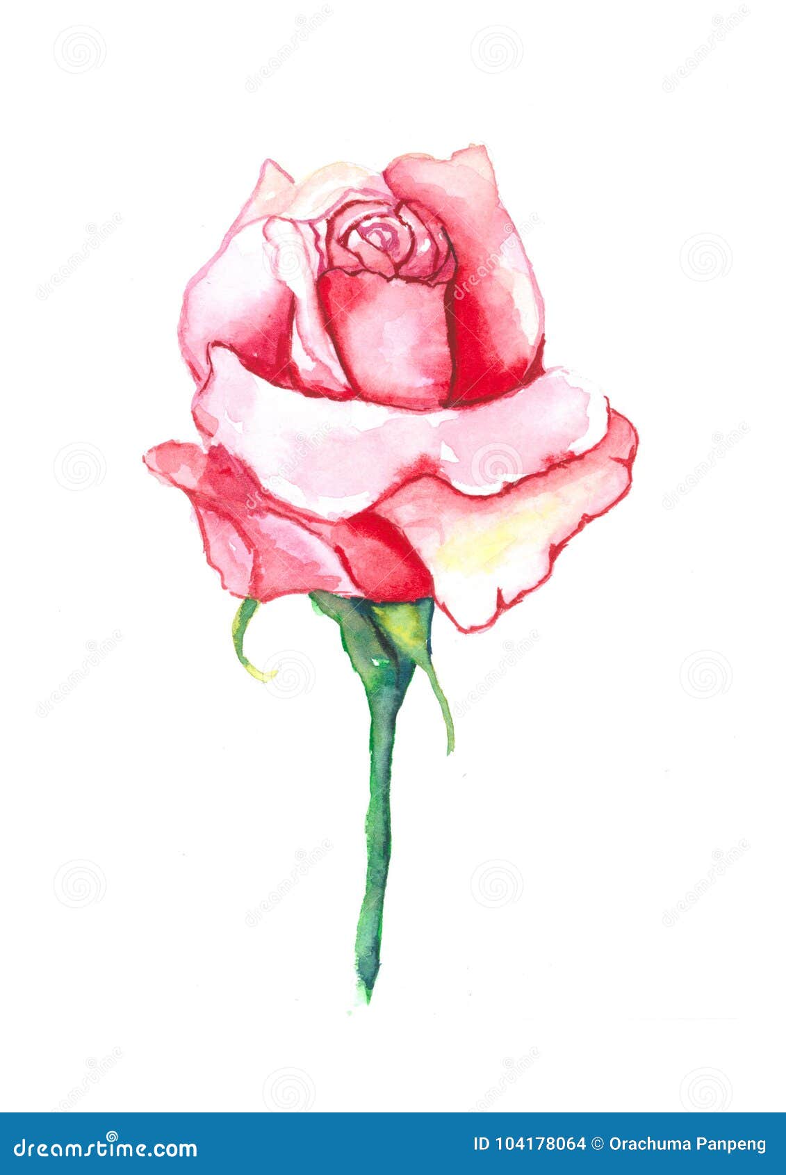 Solas rosas rojas stock de ilustración. Ilustración de rojo - 104178064