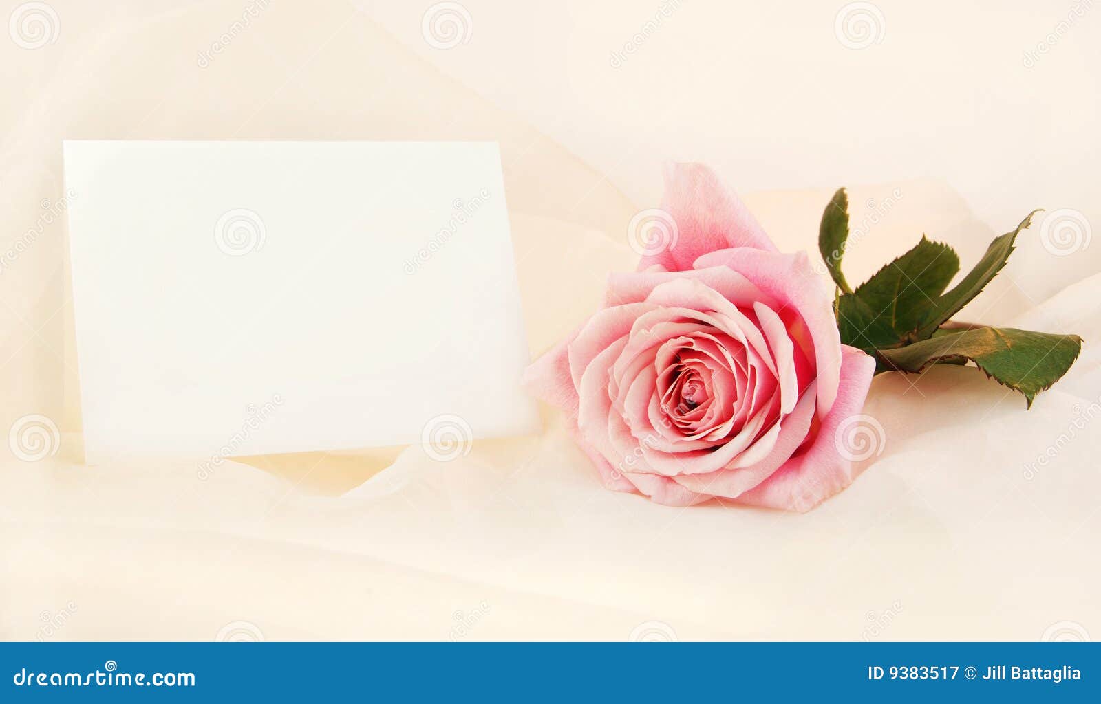 Solas Rose y nota rosadas imagen de archivo. Imagen de amor - 9383517