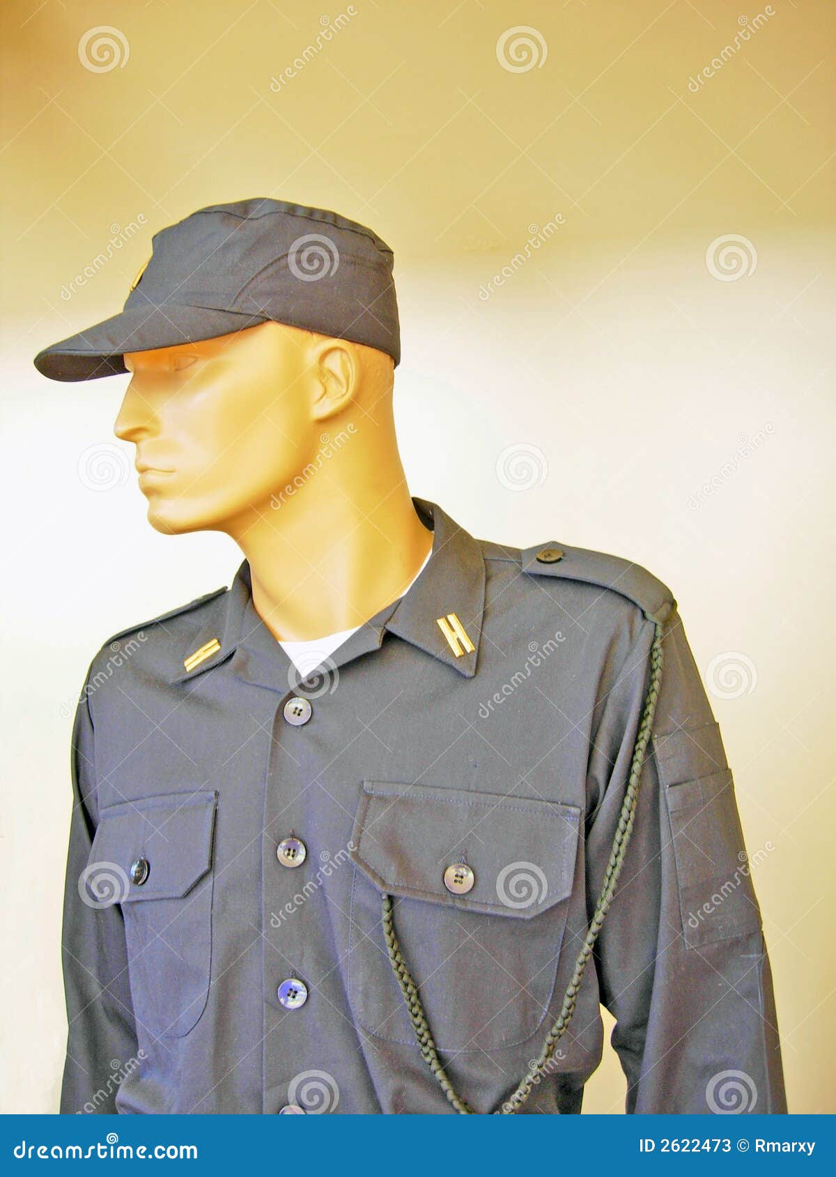 Soldado En Un Uniforme Azul Imagen de archivo - Imagen de listo ...