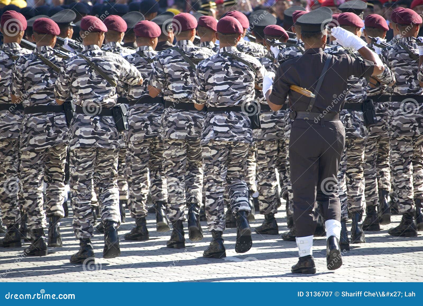 Soldados de marcha imagem de stock. Imagem de arma, injetor - 3136707