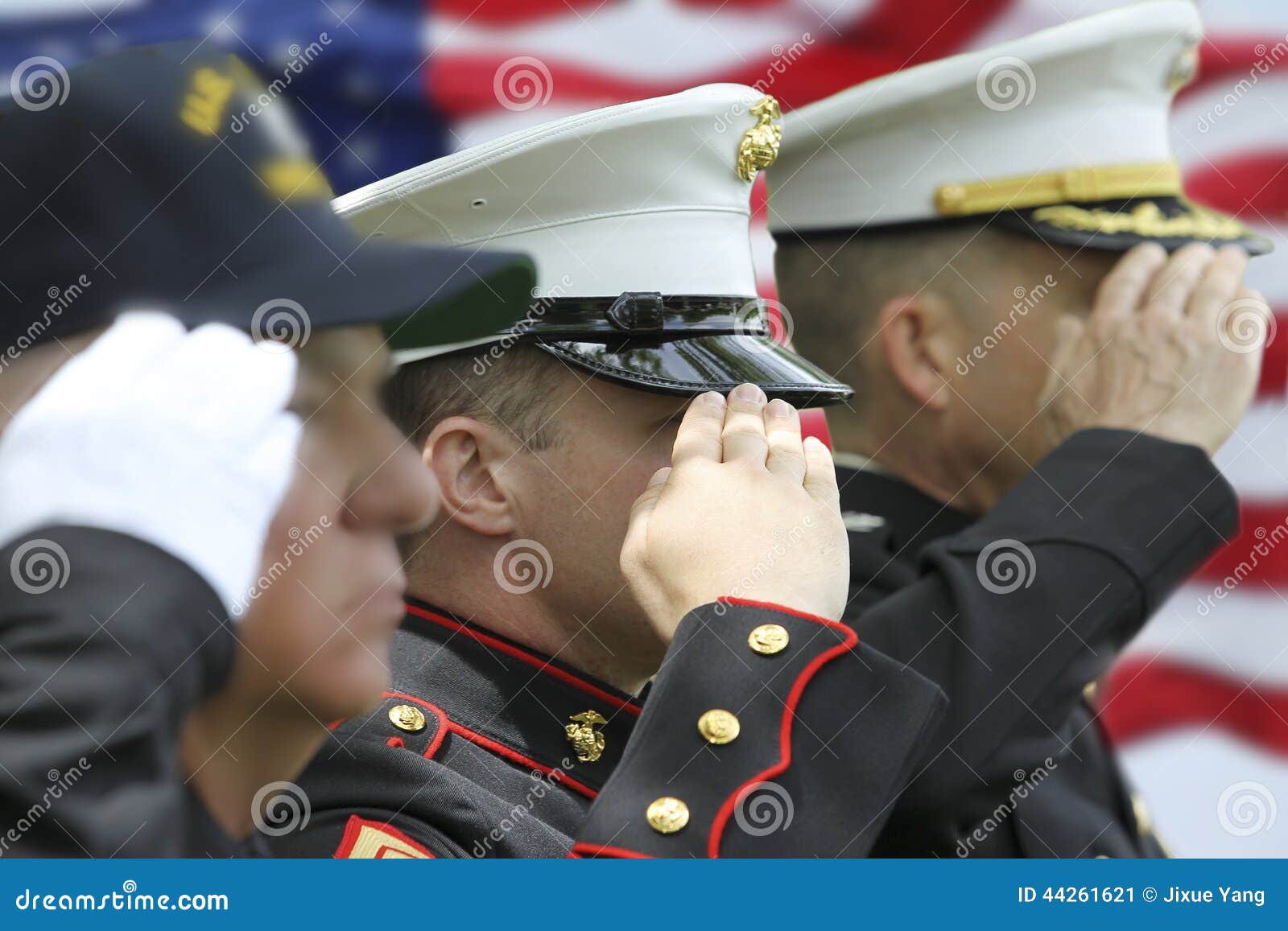 Soldato Saluting fotografia editoriale. Immagine di giorno - 44261621