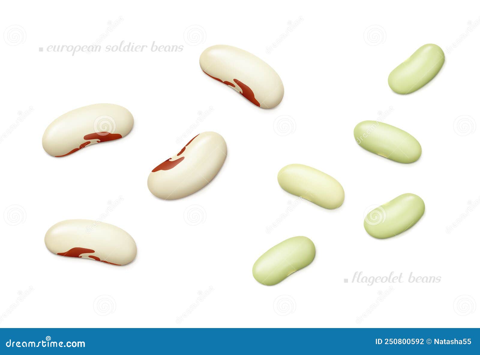 Flageolet Cartoons, Illustrations & Vector Stock Images - 77 Pictures ...