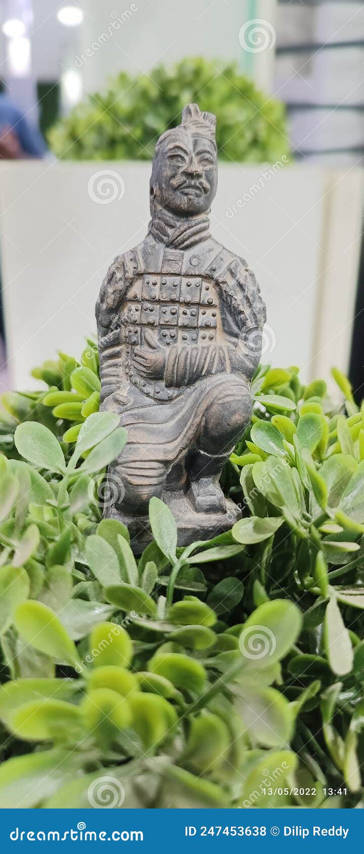 Soldier Nee Down Stachu on the Decorative Green Grass Stock Photo ...