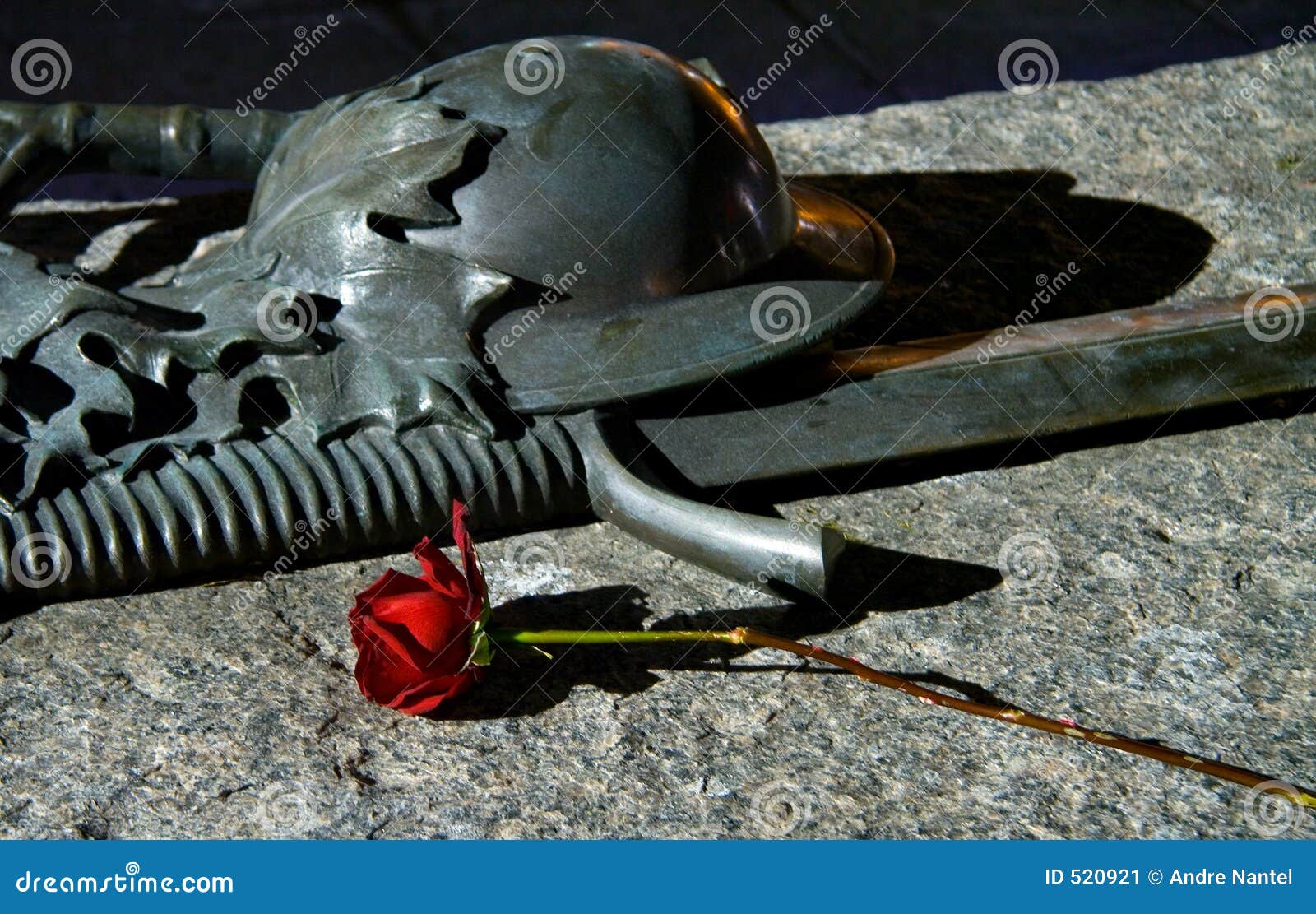 Soldier rose stock image. Image of somber, memorial, soldier - 520921