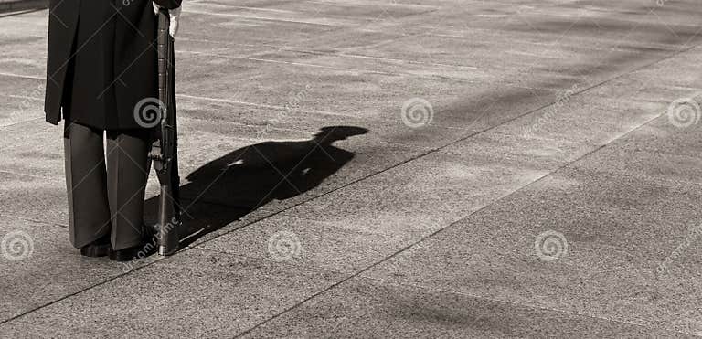 Soldier and Shadow stock image. Image of national, guard - 12891303