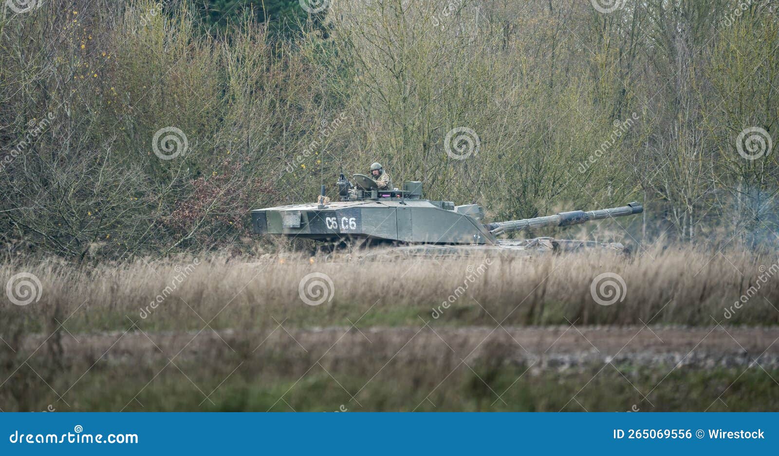 Soldier in a Tank Surrounded by Trees Editorial Photo - Image of tank ...