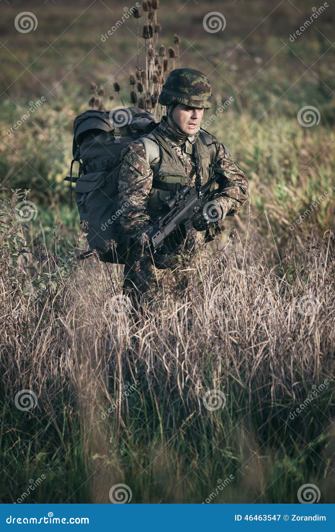 Soldier at War in the Swamp Stock Image - Image of battlefield, uniform ...