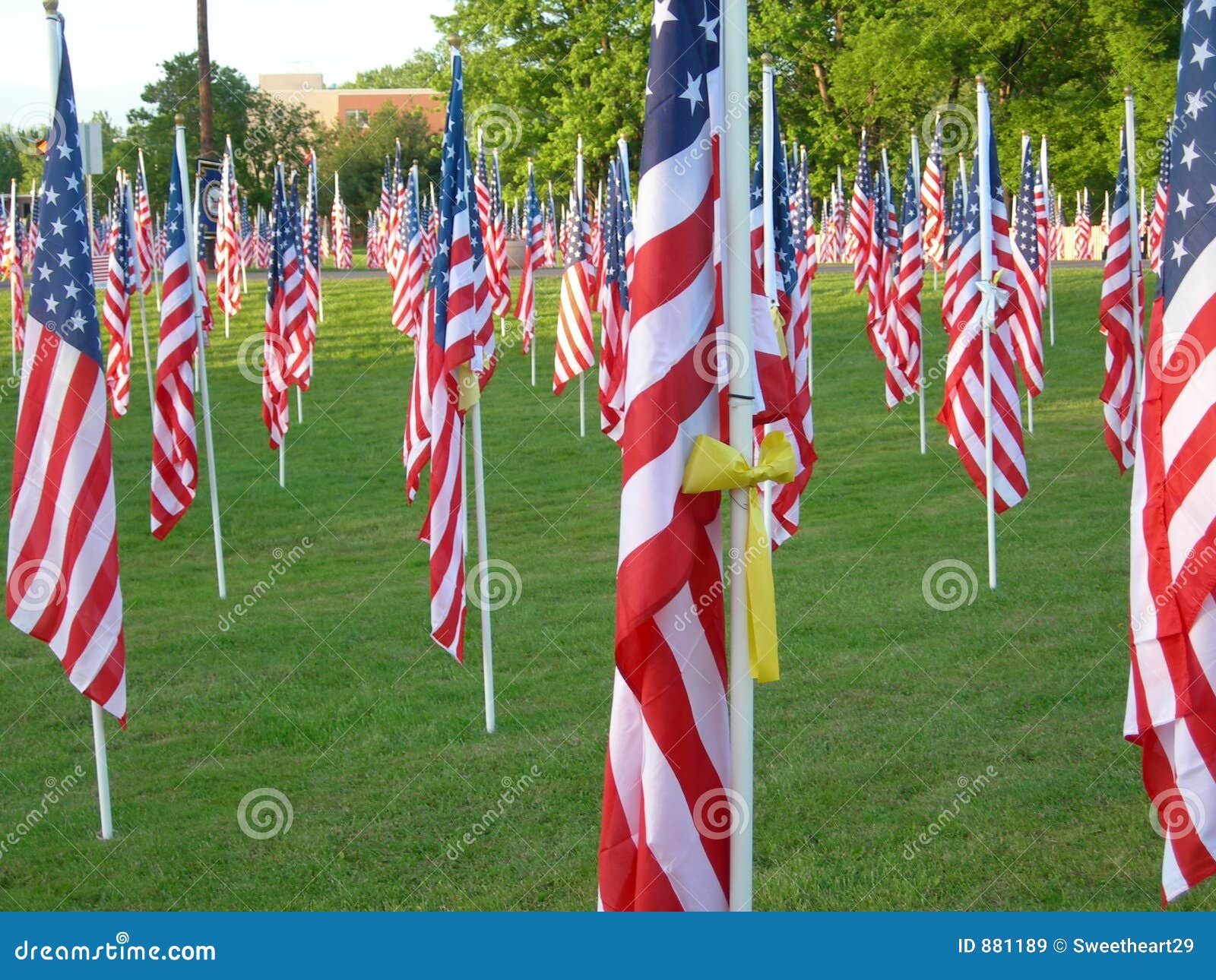 Soldiers flag stock image. Image of united, military, states - 881189