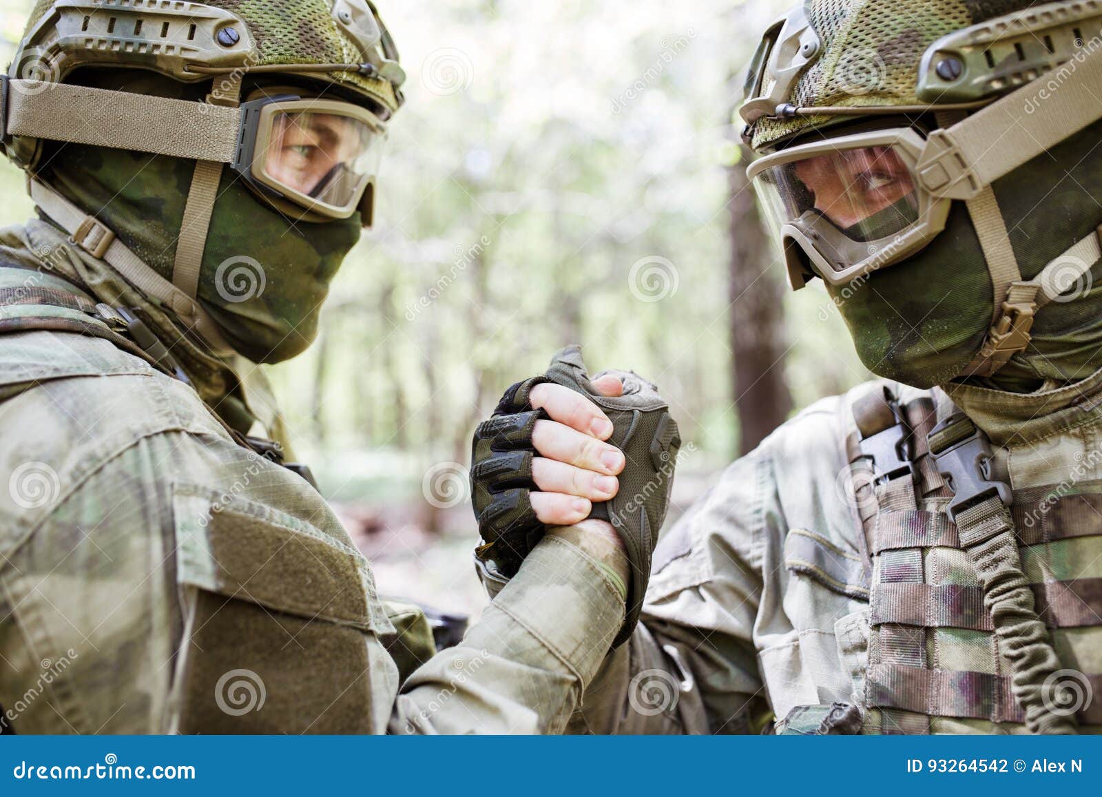 Soldiers Shaking Hands in Woods Stock Photo - Image of mature ...