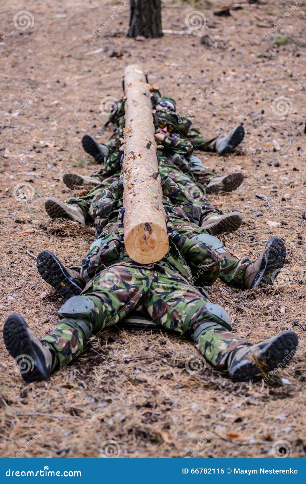 Soldiers Trained in the Forest Stock Photo - Image of outdoors ...