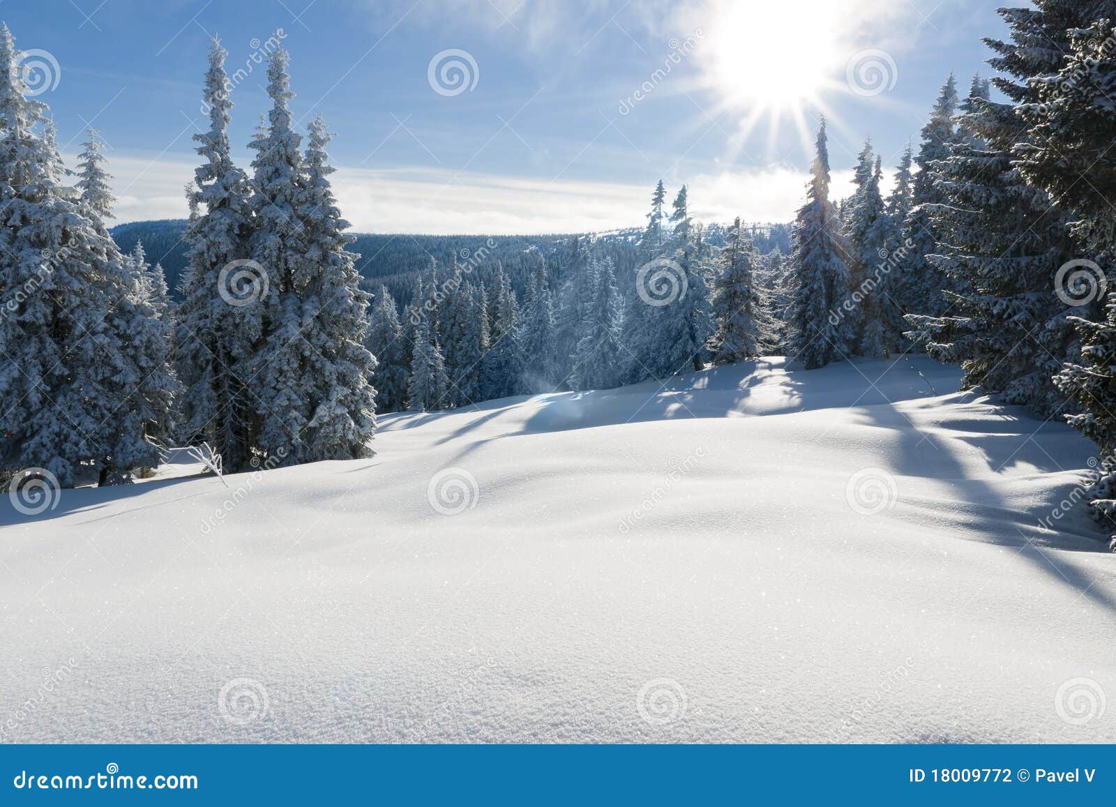 Sole di inverno fotografia stock. Immagine di congelato - 18009772