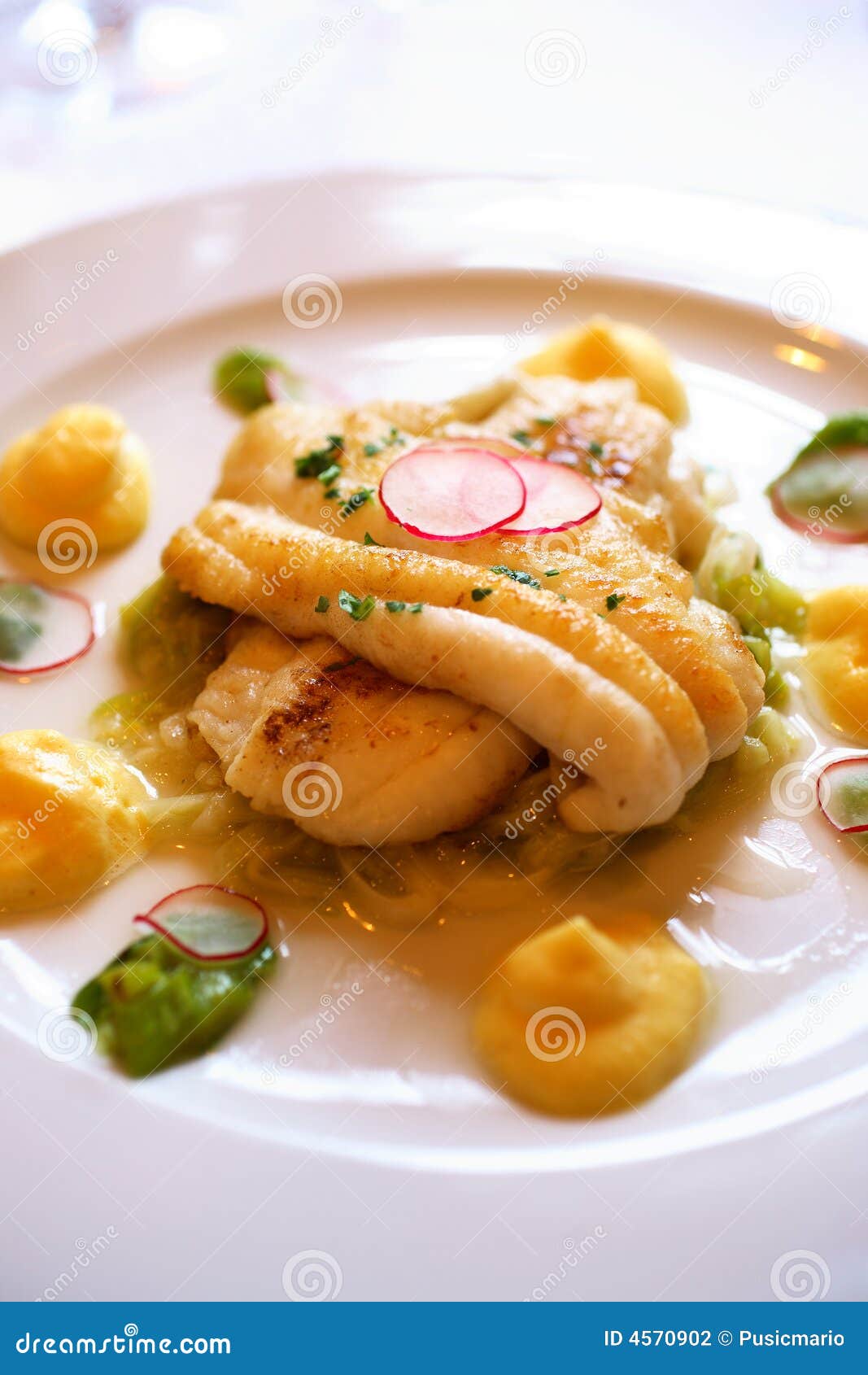 Sole fillet stock photo. Image of seafood, mediterranean - 4570902