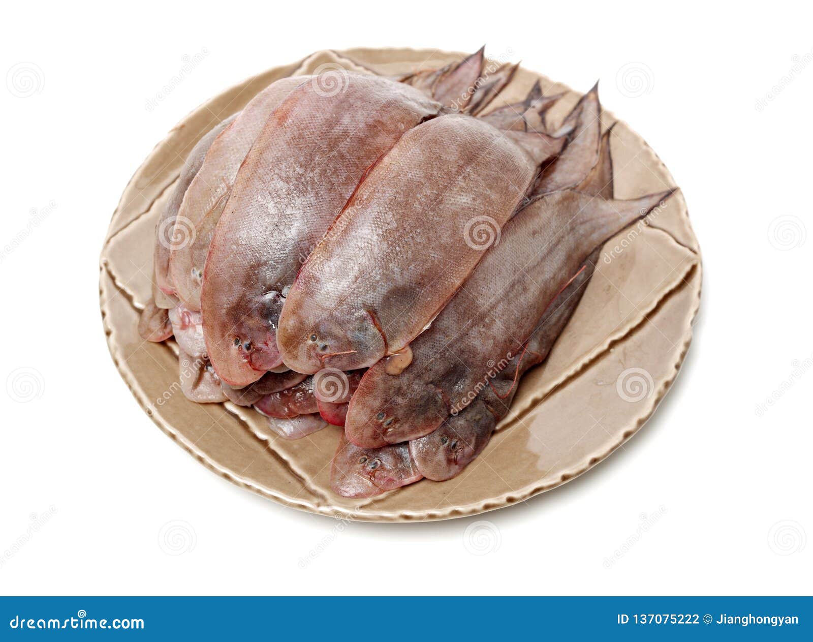 Sole fish Closeup stock photo. Image of edible, white - 137075222
