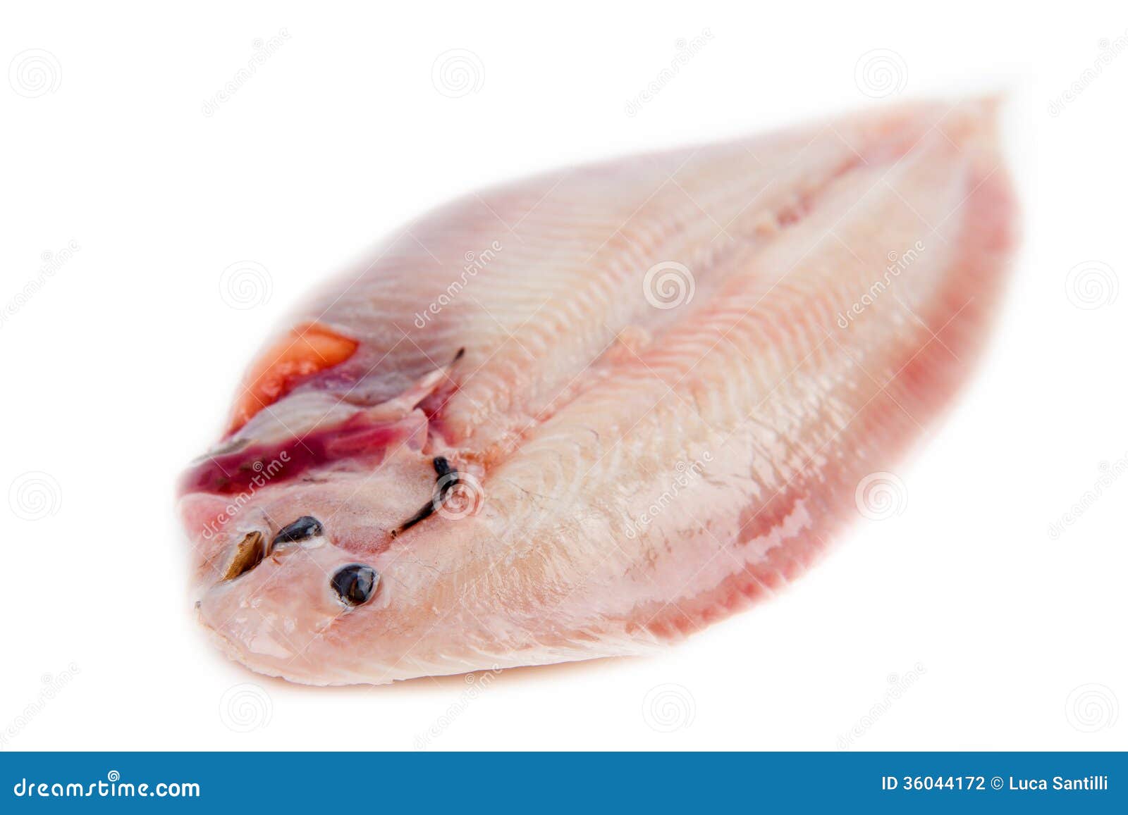 Sole fish ready to cook stock photo. Image of food, diet - 36044172