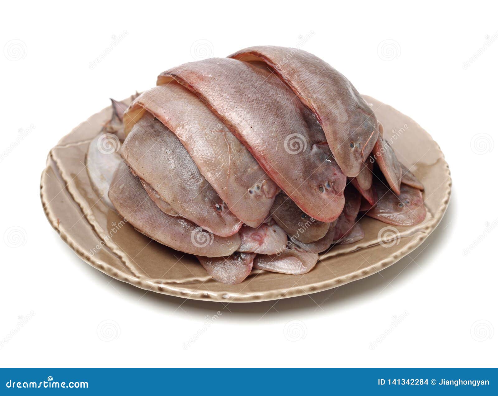 Sole fish stock photo. Image of food, horizontal, healthy - 141342284