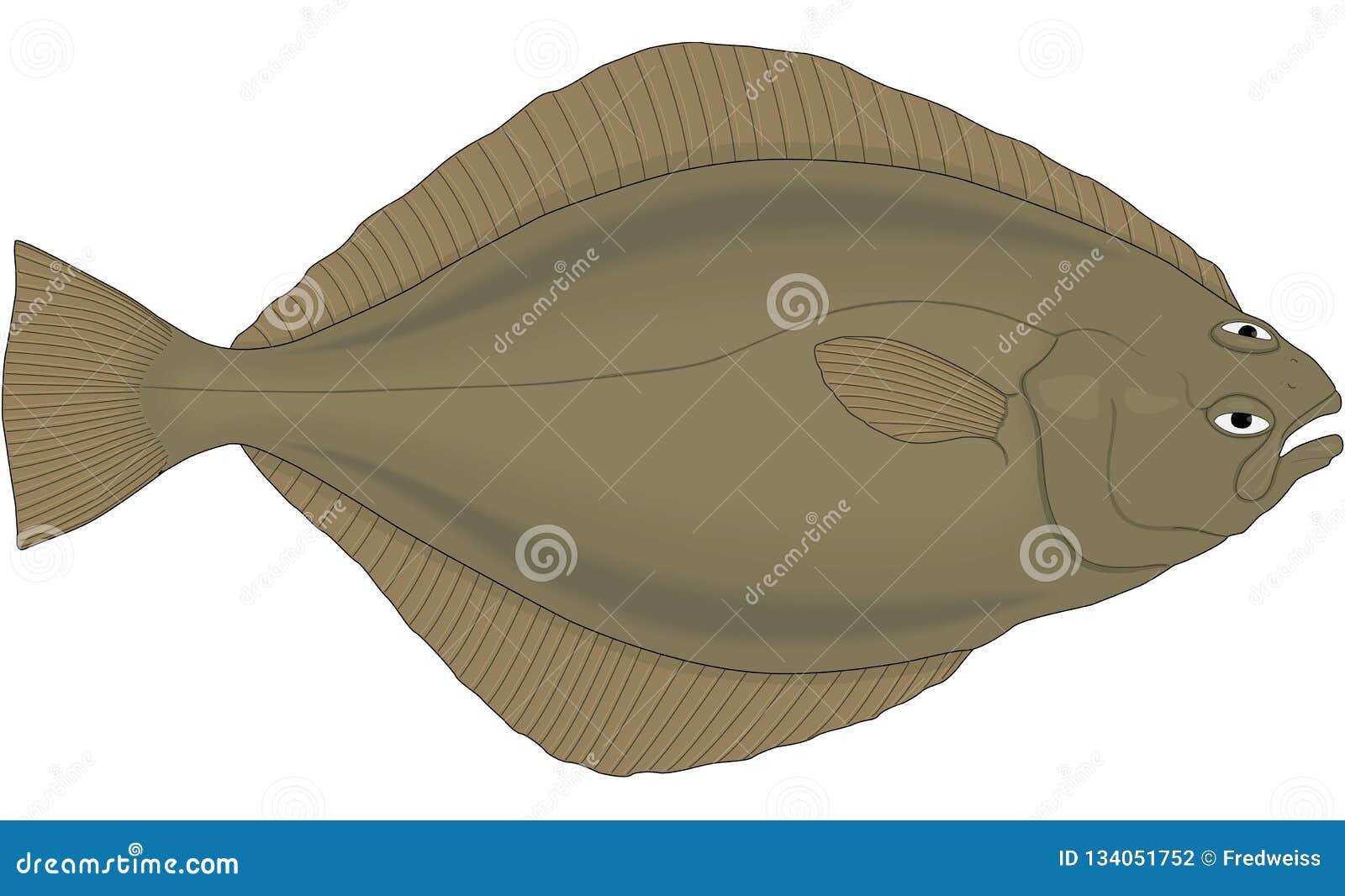 Sole Illustration stock vector. Illustration of life - 134051752